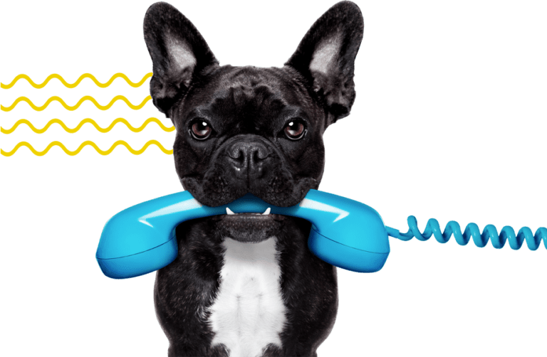 We’d love to be in touch with you! - Bay View Bark